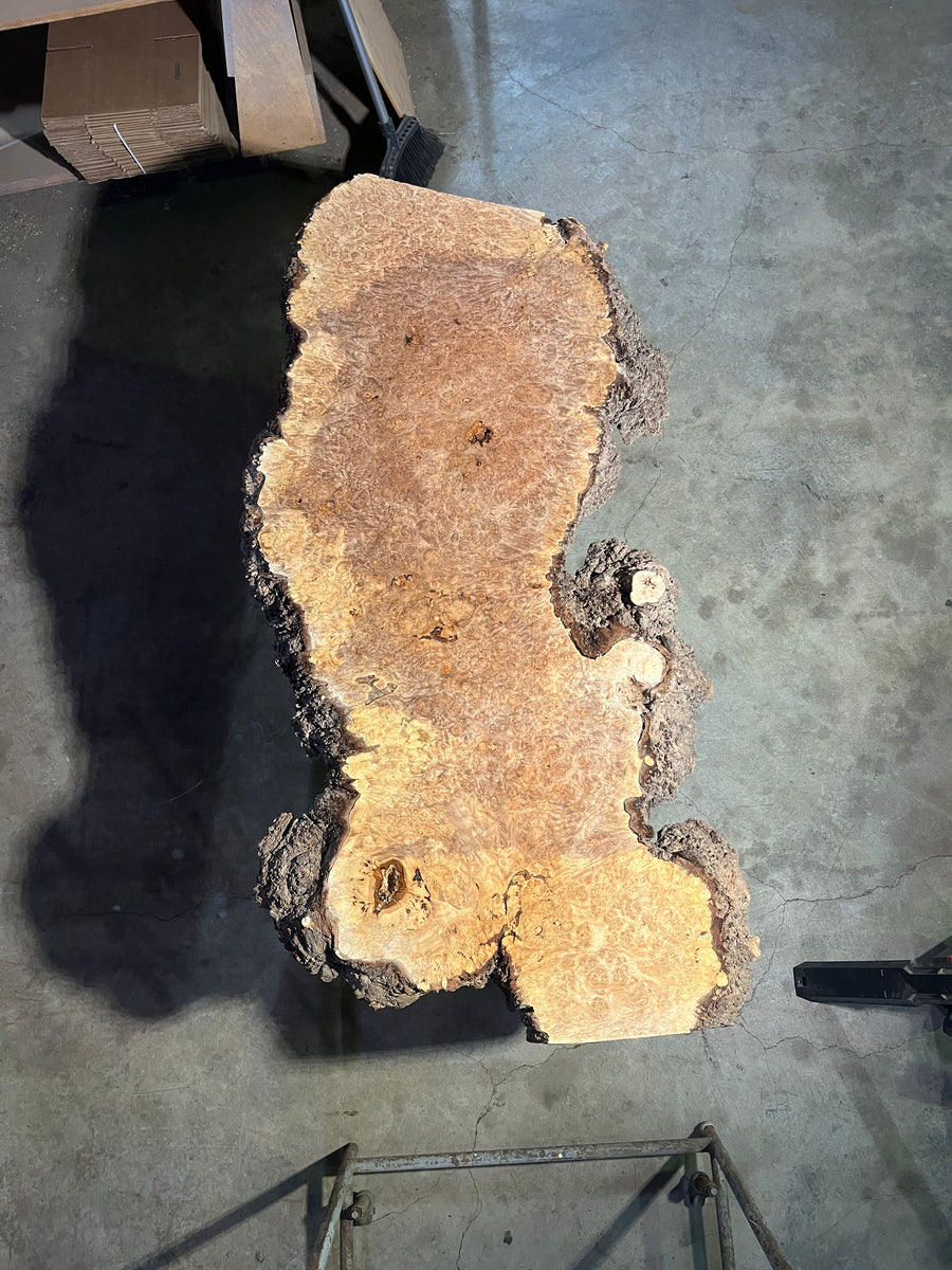 maple burl coffee table slab – B4Specialtywood